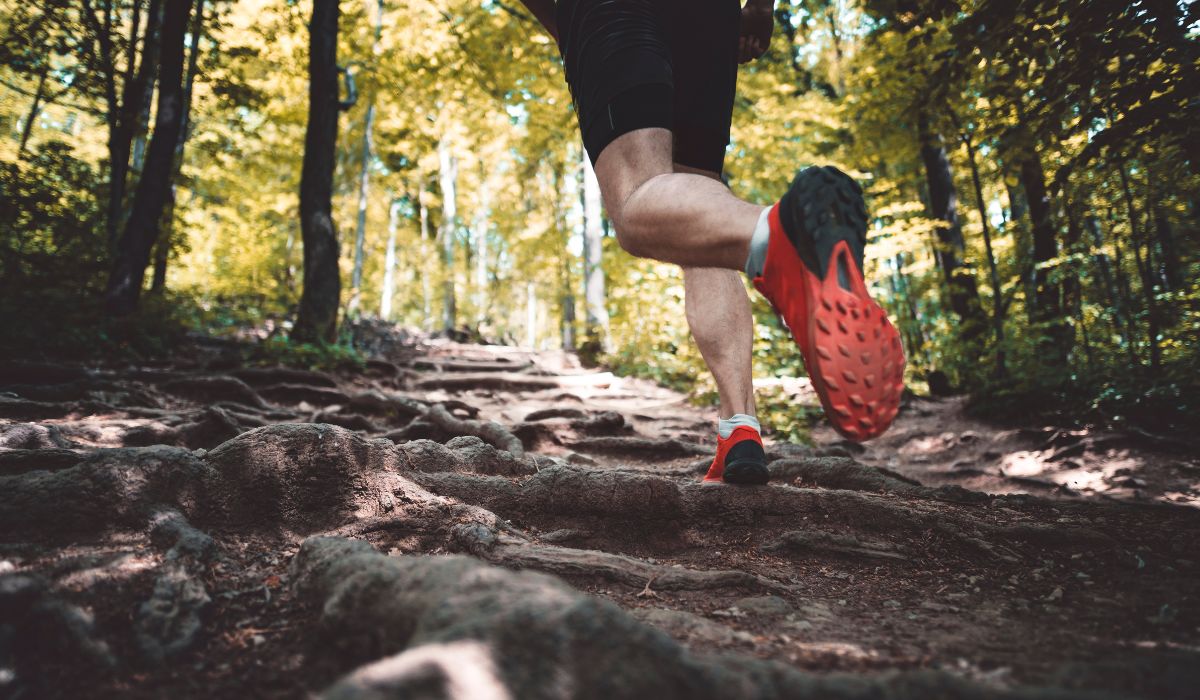 Planificación entrenamiento online - KOORE